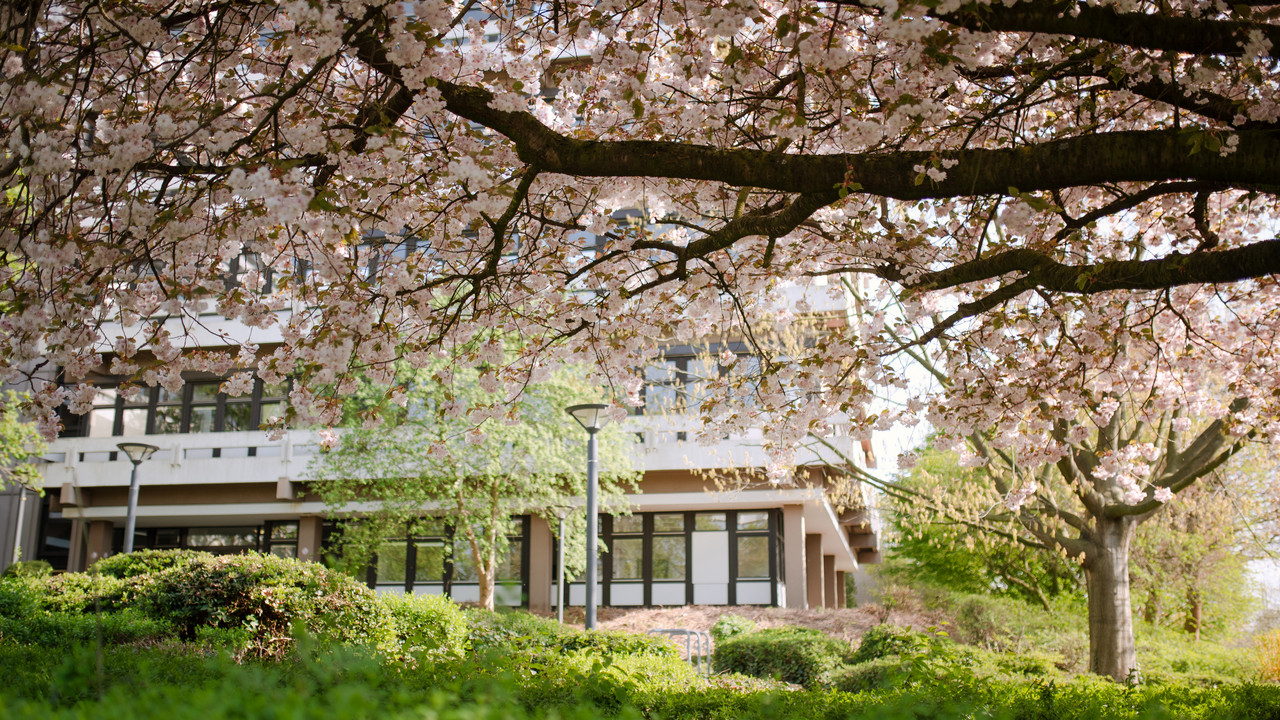 Study programs - ISLK - ISLK - TU Dortmund